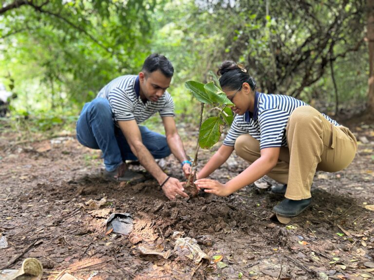 About Us - IFCCI CSR Department